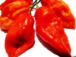 King Chilli ‘Raja Mircha’ - Latest Current Affairs for Competitive Exams